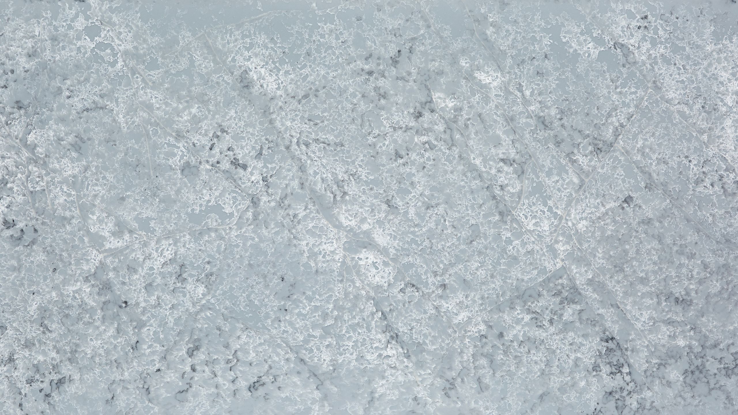 CMG Quartz Glacier Forest | CMG Quartz